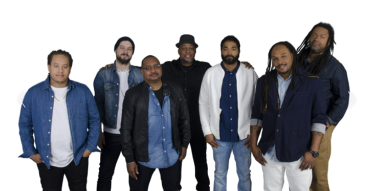 The All Star Jammerz - The Walrus